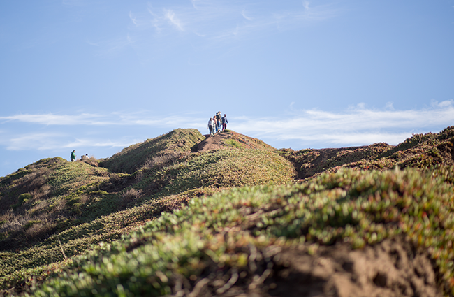 Desire Trails - Headlands Center for the Arts