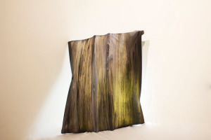 Elizabeth Bowler - Headlands Center for the Arts