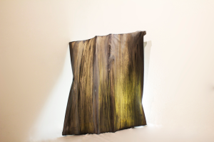 Elizabeth Bowler - Headlands Center for the Arts