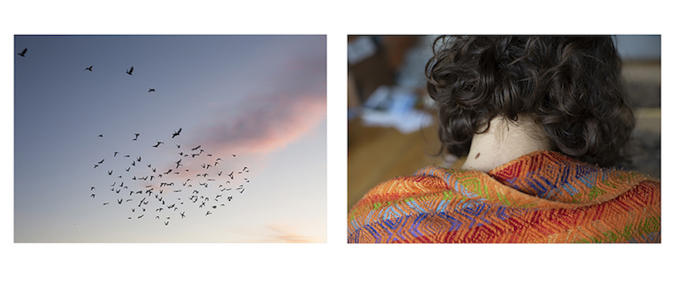 Jessica Eve Rattner - Headlands Center for the Arts