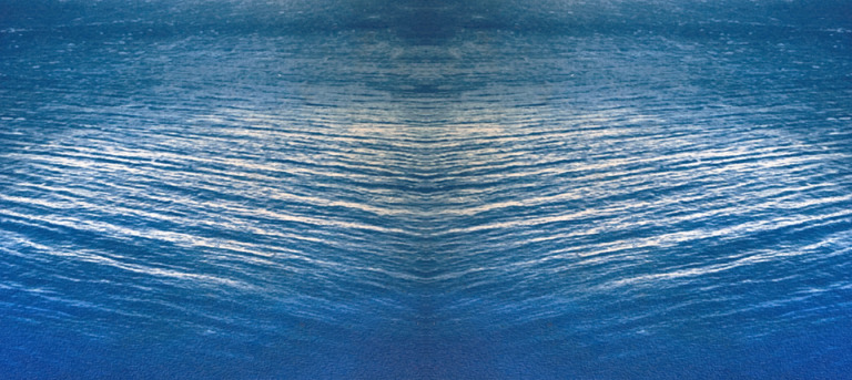 Michelle Murillo - Headlands Center for the Arts