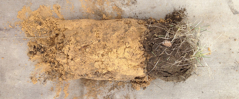 Frances Whitehead - Headlands Center for the Arts