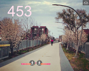 Frances Whitehead - Headlands Center for the Arts