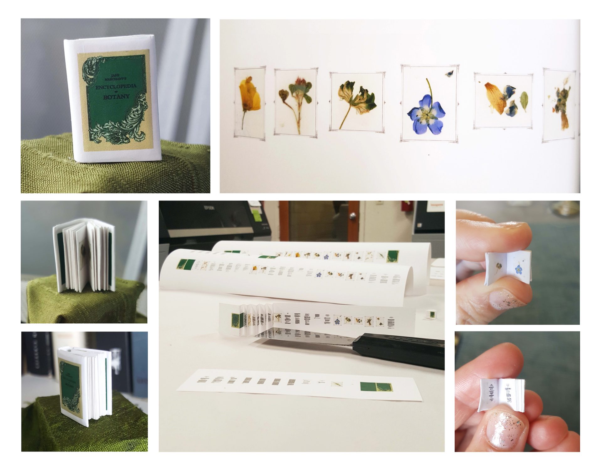 Jane Marchant - Headlands Center for the Arts