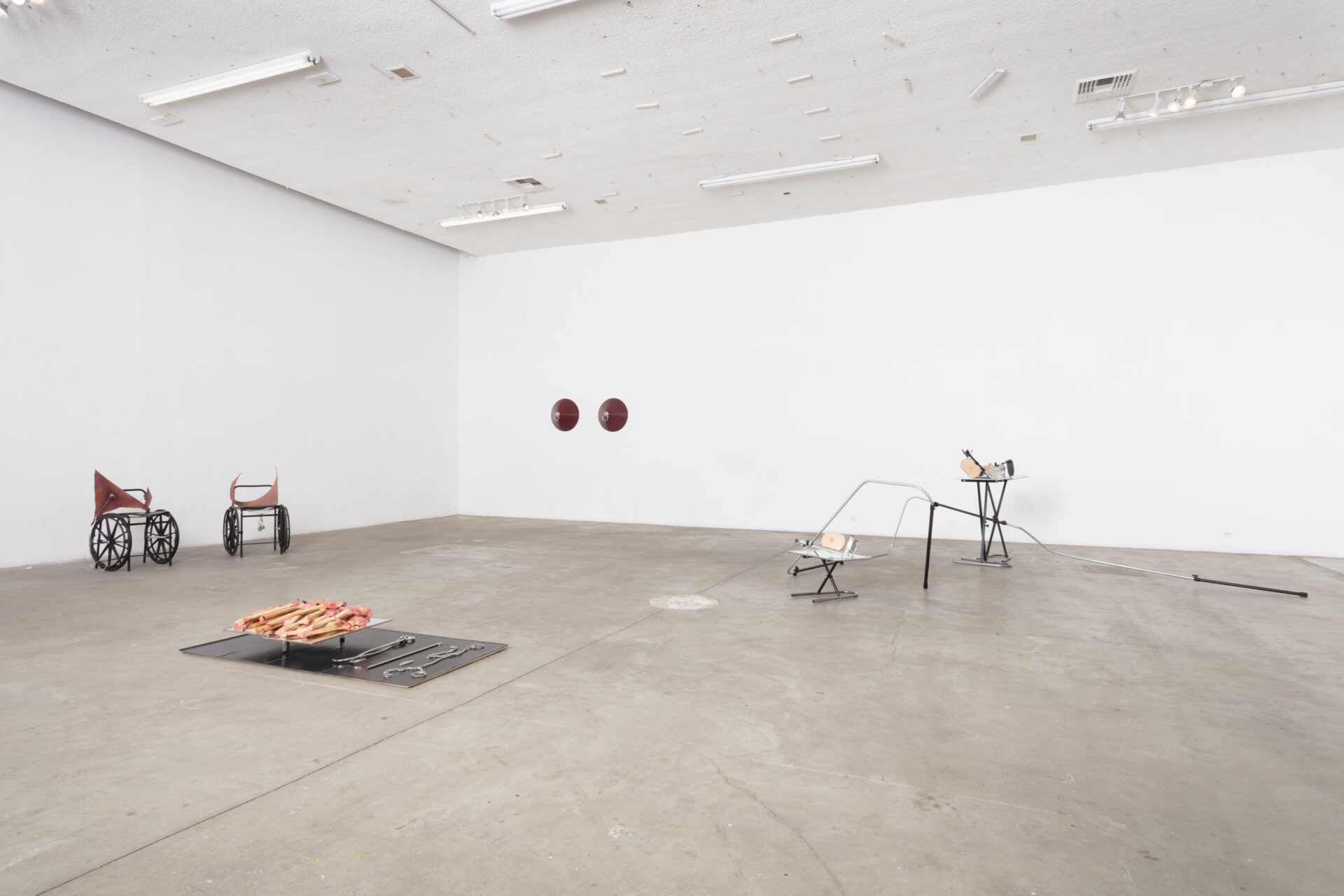 Jeanne Vaccaro - Headlands Center for the Arts